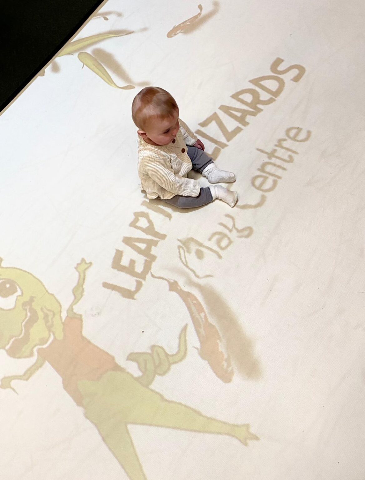 Gallery – Leaping Lizards Play Centre