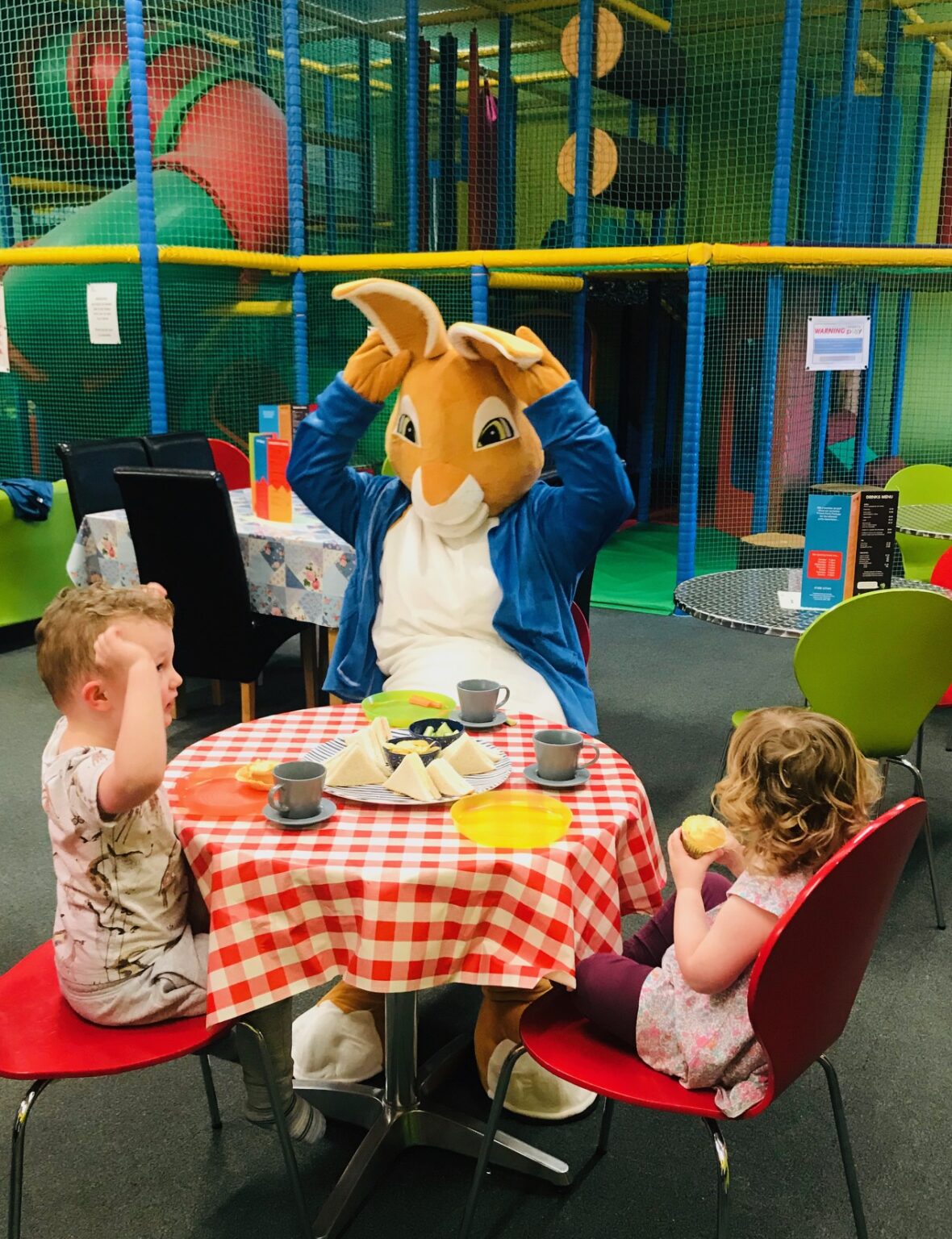 Gallery – Leaping Lizards Play Centre